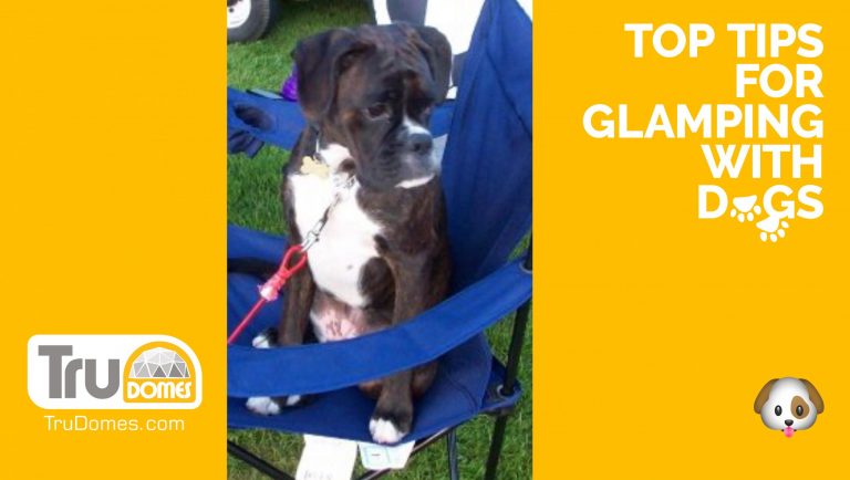 Top Tips For: Glamping With Dogs - TruDomes Geodesic Glamping Domes